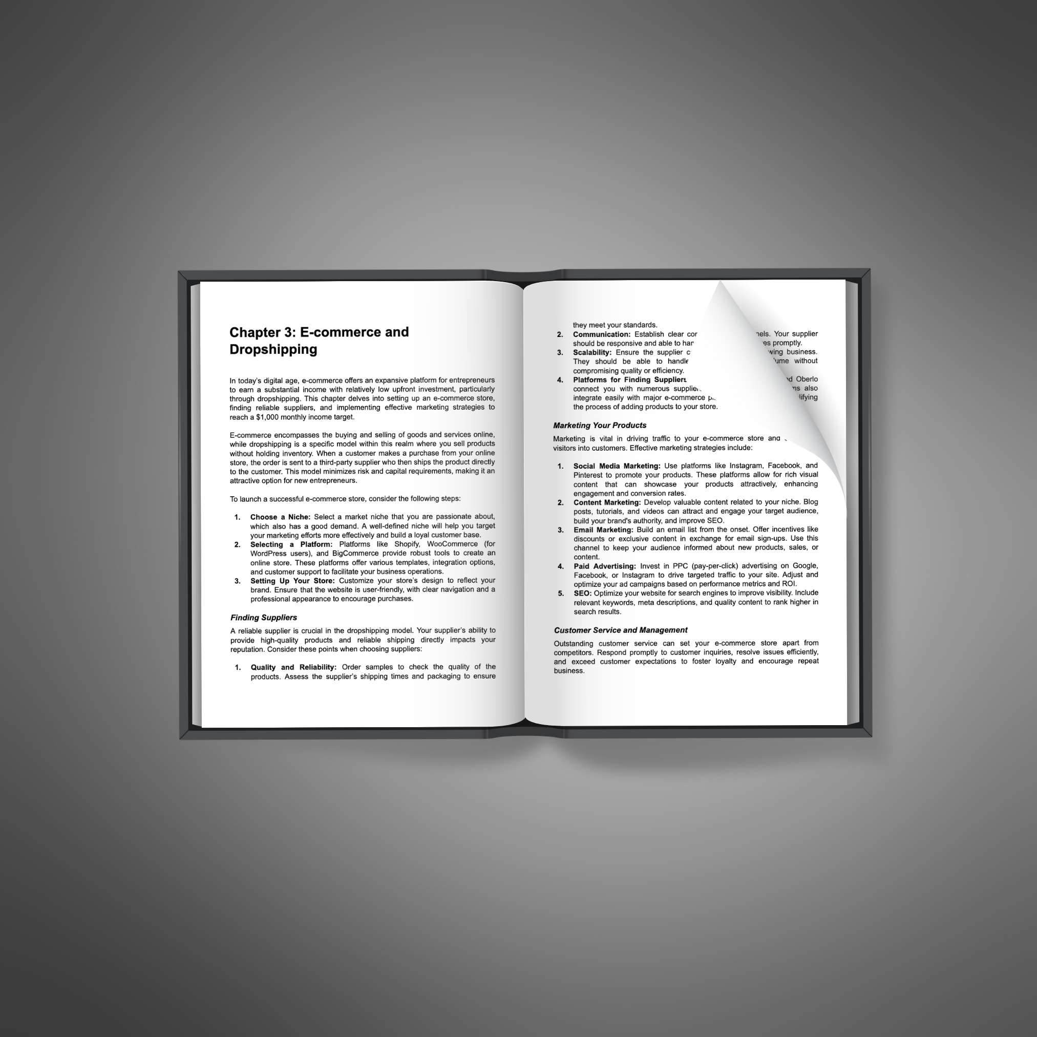 Extra Income Strategies | Entrepedia